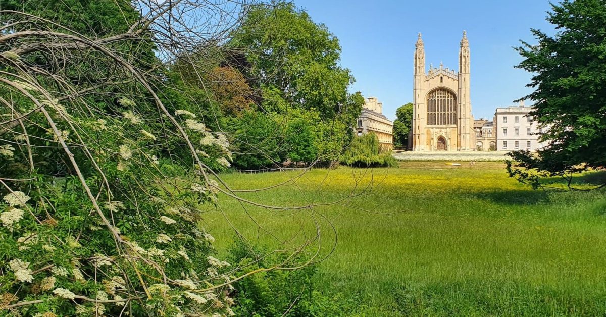 University of Cambridge Biodiversity Action Plan | Cambridge ...