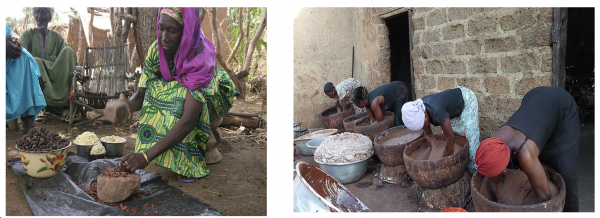 Trees, tribe and technology: how the tech-revolution is fostering ...