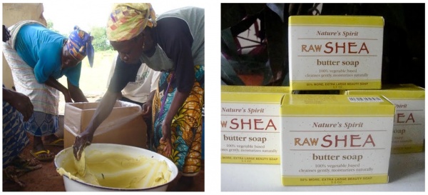 Trees, tribe and technology: how the tech-revolution is fostering ...