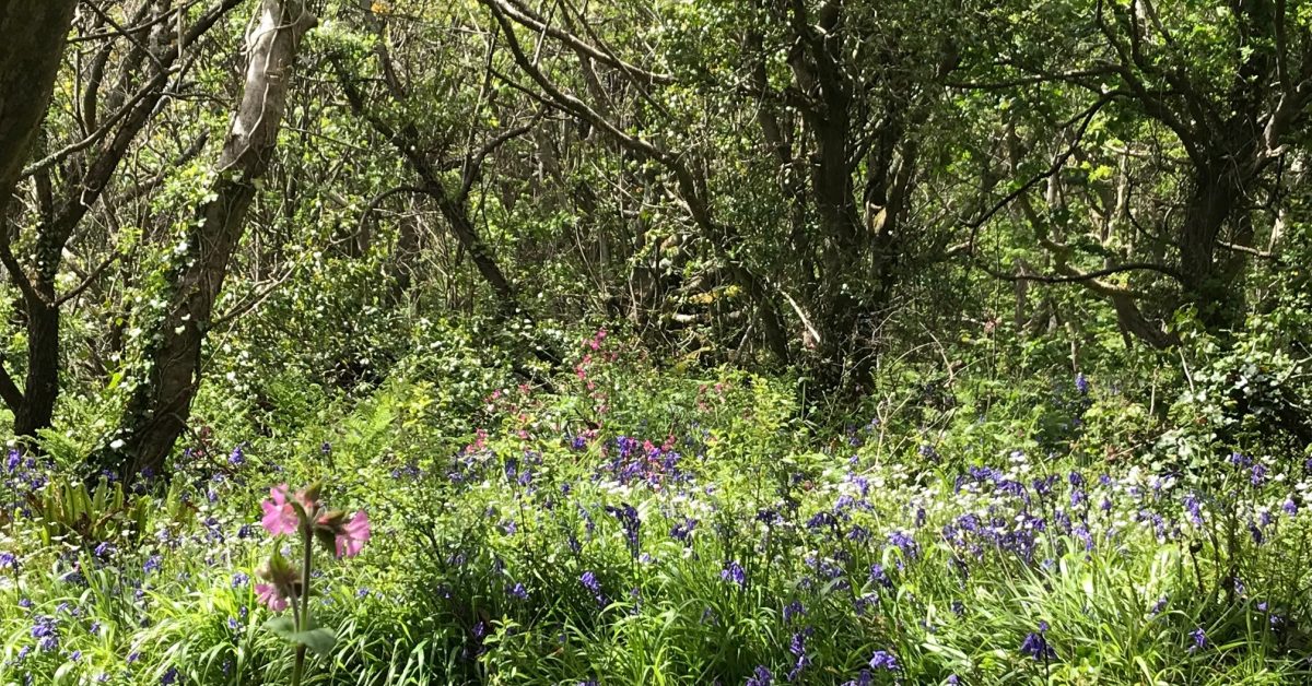 What works? Evidence informing conservation delivery | Cambridge ...