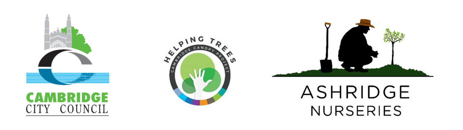 Cambridge Canopy Project tree offer | Cambridge Conservation Forum